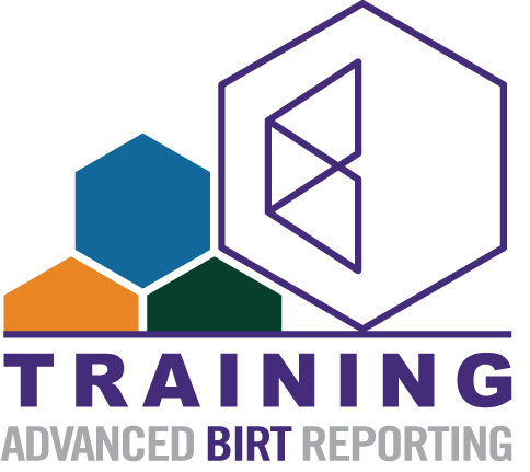 BIRT Eclipse for eRIS - (ONLINE November 18-20, 2025) – eRIS Software